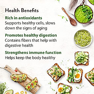 Broccoli Seeds for Sprouting or Microgreens - High Germination Sprout Seeds | Heirloom & Non-GMO | Nutritious Micro Greens Seeds - Broccoli Sprouts in 5 Days - Sulforaphane Rich