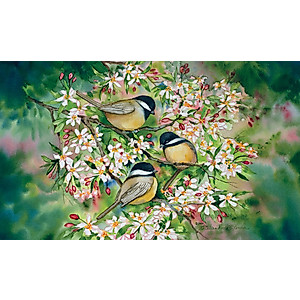 Toland Home Garden 800035 Sweet Chickadees Spring Door Mat 18x30 Inch Summer Outdoor Doormat for Entryway Indoor Entrance