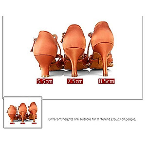 HIPPOSEUS Latin Dance Shoes for Women Ballroom Salsa Performance Dancing Shoes,Model 2230,Bronze，5 B(M) US