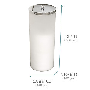 Zenna Home Toilet Paper Storage Holder with Lid, Rust Resistant, Frosted – Enclosed Toilet Paper Holder Stand, Holds 3 Rolls – Modern Toilet Paper Storage and Tissue Holder – Tp Holder for Bathroom