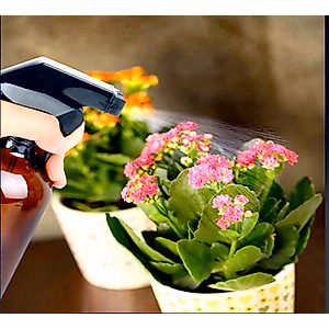 Amber Glass Spray Bottles,500ml Brown Glass Spray Bottles,Empty Amber Glass Spray Bottles With Labels - 17oz Trigger Sprayer Glass Bottles Amber Spray Bottle