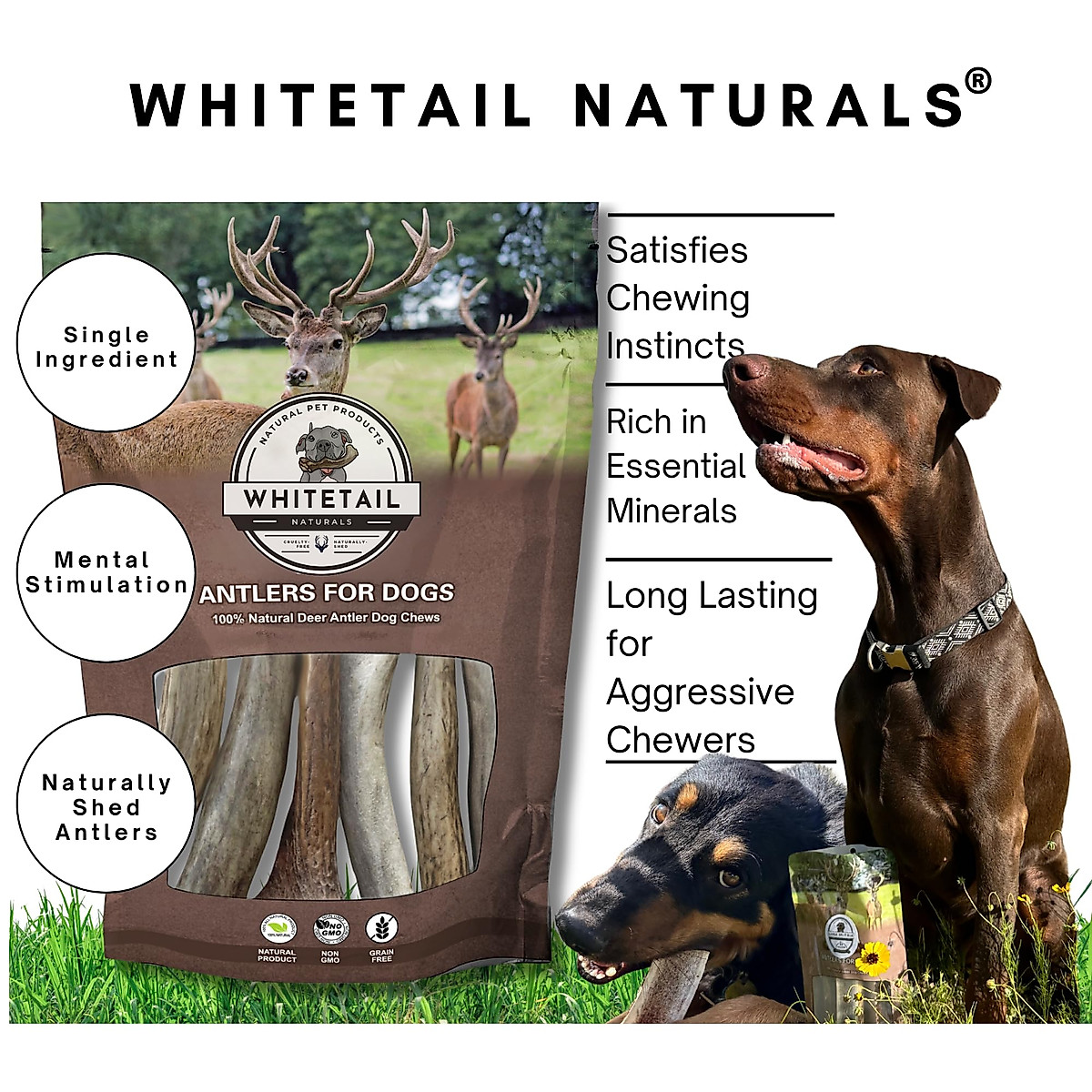 WhiteTail Naturals - Sun Aged Deer Antler Dog Chews (3 Pack Small) Economy Grade Natural Dog Bone Chews -