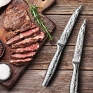 CHUIFU Steak Knives, Steak Knives Set of 4, 4.5 Inch Stainless Steel Serrated Steak Knife, Hammered Pattern Hollowed Handle, Steak Knife Set with Gift Box