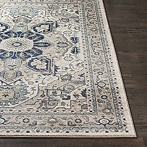 Canonsburg Traditional Persian Living Room Bedroom Area Rug - Bohemian Oriental Medallion Carpet - Blue, Grey, Beige, Brown - 7'10" x 10'2"