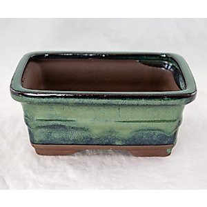 Calibonsai 6inch Rectangular Green Bonsai Succulent Pot Soil Tray Rock Mesh Kit