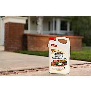 Spectracide Weed & Grass Killer (Refill), Use On Driveways, Walkways and Around Trees and Flower Beds, 1.3 Gallon