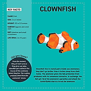 My Sticker Paintings: Ocean Animals: 10 Magnificent Paintings (Happy Fox Books) For Kids 6-10 - Jellyfish, Dolphins, Penguins, Sharks, and More, with 30 to 140 Removable, Reusable Stickers per Design