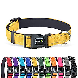 Brilliant Paw Reflective Dog Collar, Adjustable Nylon Collar, Strong Yet Comfortable, Safety Locking Buckle, Length Adjustable for Small Medium and Large Dog