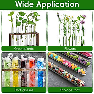 Worldity 15 Pcs Clear Test Tubes for Plant, 20 ml Plant Propagation Tube with Brush, Plastic Test Tubes for Hydroponic Plants, Flowers, Home Office Wall Decor (12 cm)