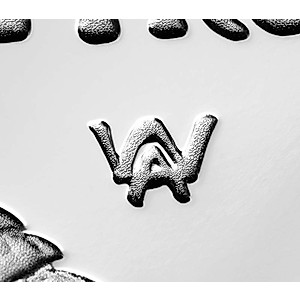 2021 S American Silver Eagle Type 2 Eagle Landing Reverse 1 Ounce Coin in OGP with CoA Dollar Proof US Mint