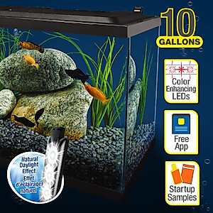 Tetra Complete LED Aquarium 10 Gallons, Includes LED Lighting, Filtration and Accessories