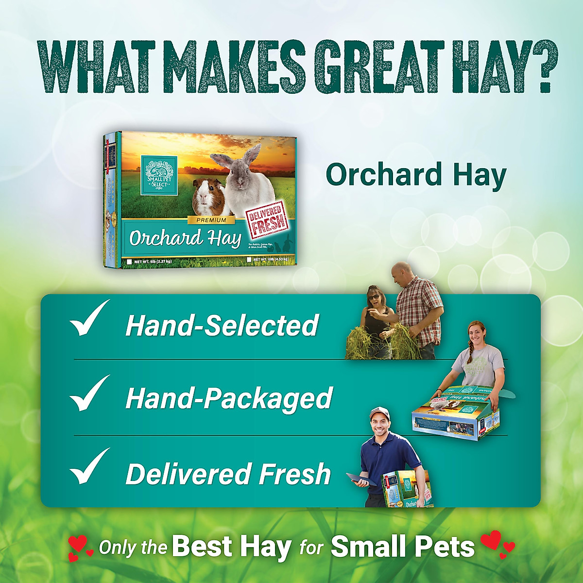 Small Pet Select Orchard Grass Hay Pet Food for Rabbits, Guinea Pigs, Chinchillas and Other Small Animals, Premium Natural Hay Grown in The US, 5 LB