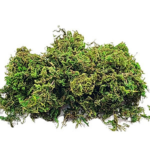 Green Moss for Crafts Artificial Moss Decorative Moss for Potted Plant Faux Orchid Moss Potting Mix Soil Peat Sphagnum Moss Pole Craft Arts Floral Wedding Decor Fairy Garden Terrariums Decoration