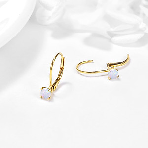 14k Solid Gold Leverback Earrings for Women Opal Jewelry Birthday Gifts for Her (4mm)