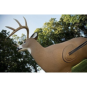 Field Logic Big Shooter Buck 3D Archery Target with Replaceable Insert Core, Brown