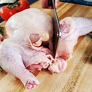 Ergo Chef Prodigy Series 7-Inch Meat Cleaver Chopper Butcher Knife - Heavy Duty Thick Blade, High Carbon Stainless Steel, Ergonomic non-slip Comfort Grip Handle