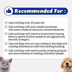 Branvine Recogry Liquid Cognitive Disorder and Brain Support for Dogs and Cats with Astaxanthin, Phosphatidylserine, Alpha GPC, DHA, Olive, Coconut, Sage, Turmeric, Ginger (90ml)