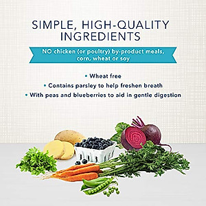 Blue Buffalo Dental Bones Large Natural Dental Chew Dog Treats, (50 lbs and up) 36-oz Bag Jumbo Pack