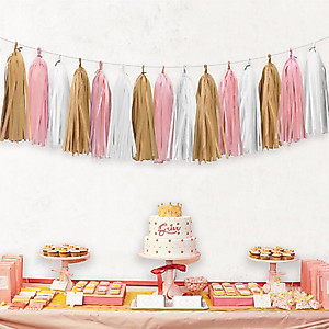 Aonor Gold White Pink Tassel Garland for Baby Shower Decorations Bridal Shower Birthday Party Decorations 15PCS