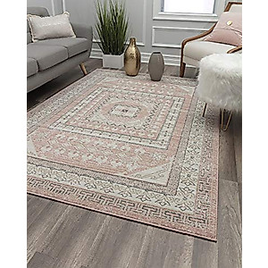 Rugs America Harper HY40A Carnation Transitional Vintage Area Rug, 5'x7'