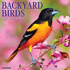 Backyard Birds 2021 Wall Calendar