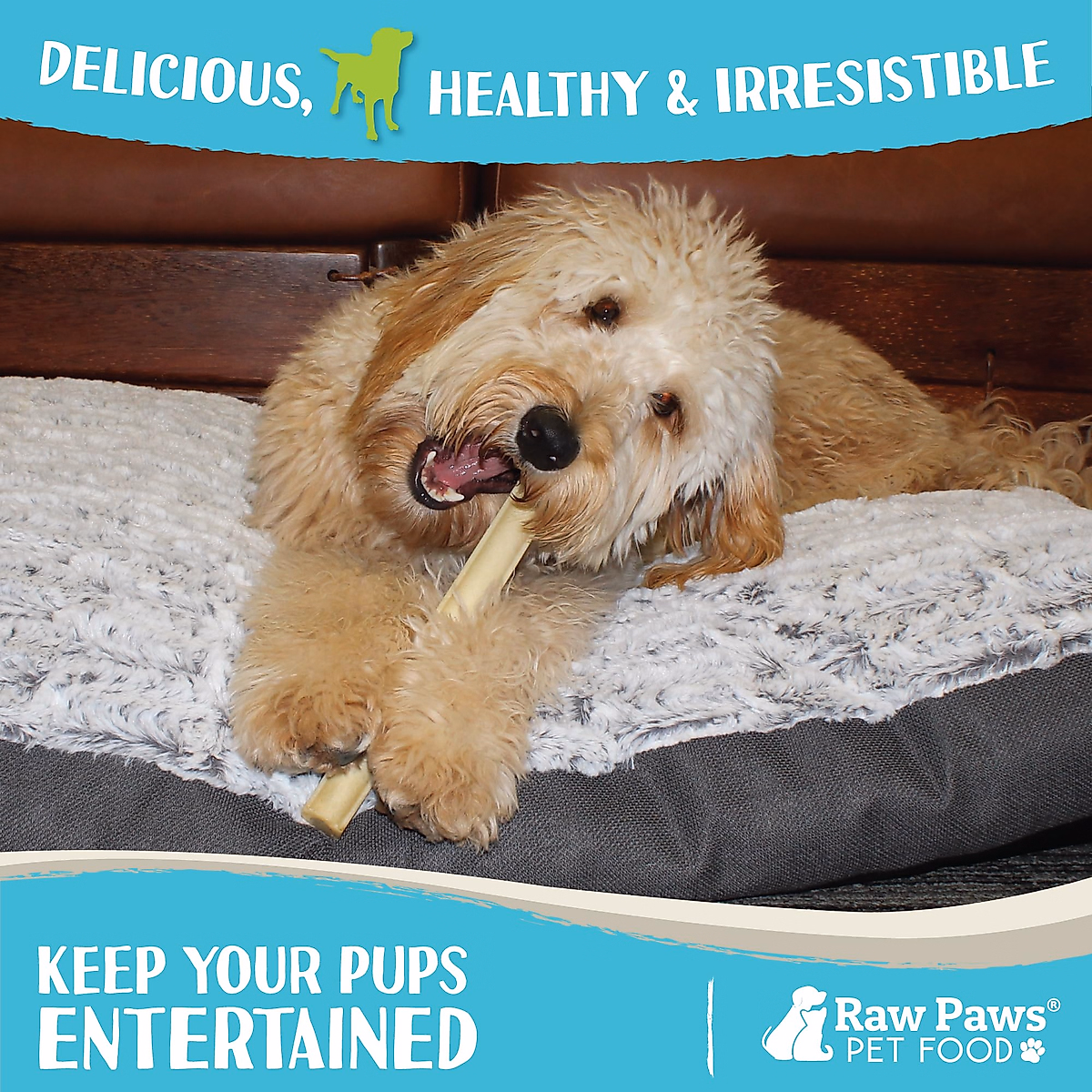 Raw Paws 10-inch Compressed Rawhide Sticks for Dogs, 10-ct - Pressed Rawhide Chews for Large Dogs & Medium Dogs - Safe Hide Rolls - Natural Rawhide Dog Chew Long Lasting for Aggressive Chewers