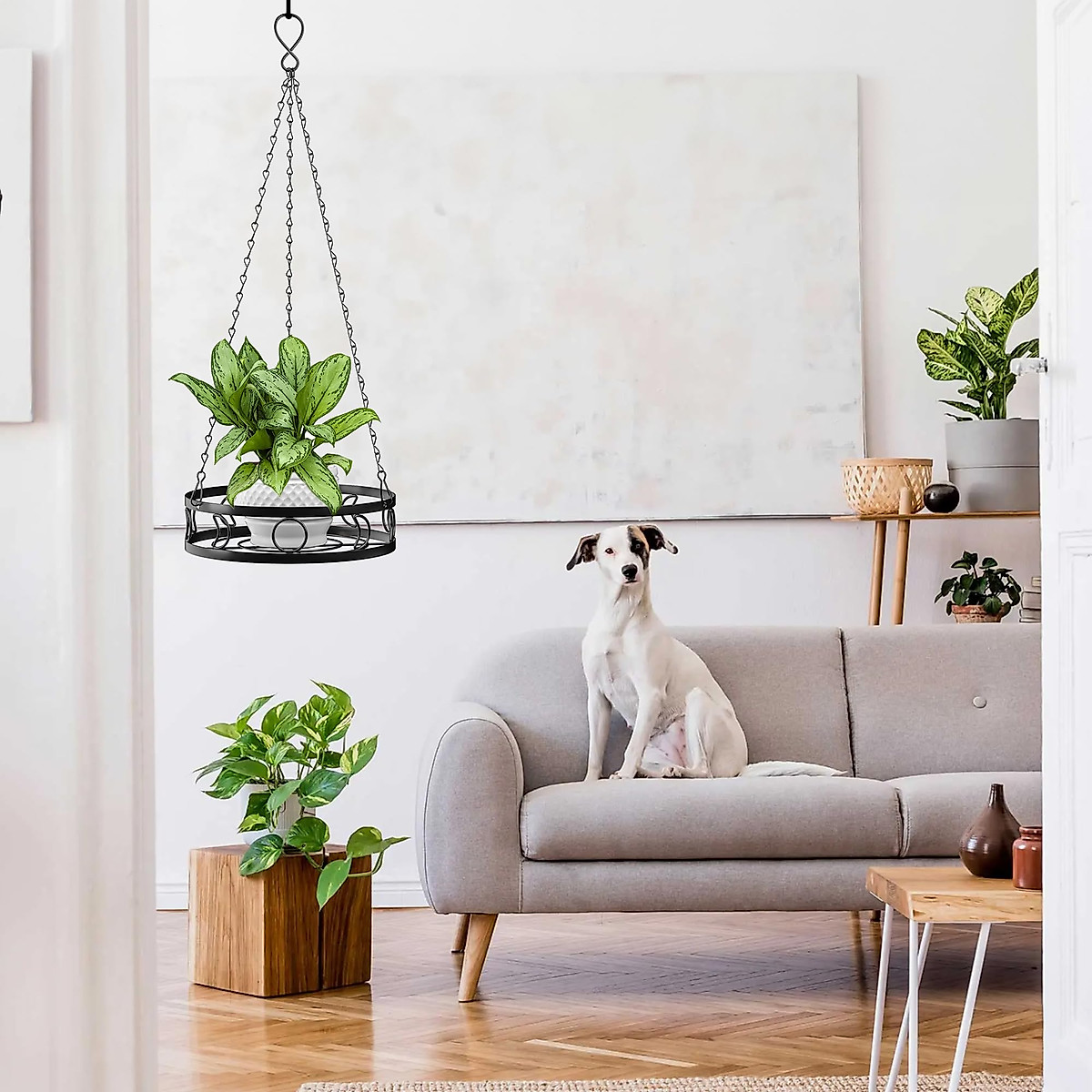 lanccona 3 PCS Plant Hanger Indoor Outdoor, Moon Phase Hanging Plant Holder with 3 Hooks, Hanging Plant Shelf for Boho Home Decor, Black (POTS NOT Included)