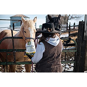 Hemptana Hemp Protein Supersnacks for Horses - Horse Treats to Support Digestive, Cognitive, & Joint Health - Improved Equine Stress Response – High Protein Horse Supplement - (4 lbs)