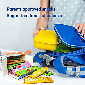 DC24 DAILY CARE Sugar Free Lollipops with Vitamin C, Healthy Suckers with Xylitol, Assorted Fruit Flavored Hard Candy for Kids, Non-GMO, Gluten Free, 24 Count