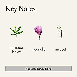 LAFCO New York Reed Diffuser Refill, Star Magnolia - 8.4 oz - Up to 4-Month Fragrance Life - Includes Natural Wood Reeds - Free of Dyes & Propellants - Made in The USA