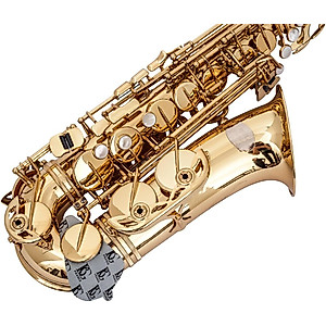 BG(0002698761) Saxophone Cleaning and Care Product (A65S),gray