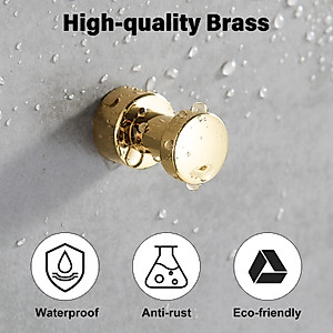 BVL Gold Robe Hook Brass Robe Hook Adhesive Bathroom Robe Hook Coat Hook Clothes Hook for Bathroom and Kitchen,5 of Packing
