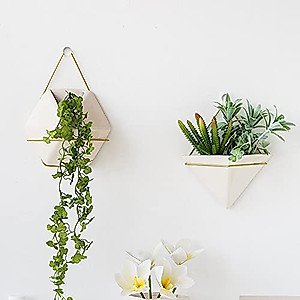 Svaitend Screw-On Solid Wood Hook Coat Hook Towel Hook Shaker Pegs for Bathroom Livingroom Garden 10 Pieces (White Paint)