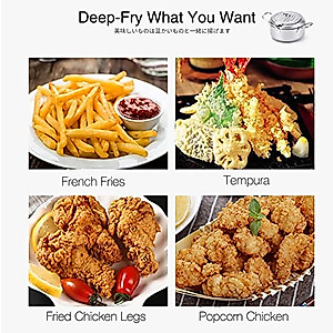 Cyrder Japanese Tempura Deep Fryer Pot with Thermometer and lid, 9.5" For Home with Oil Filtration, Big Deep Fryer Perfect for Family Easy Clean, Silver Deep Fryer Pot