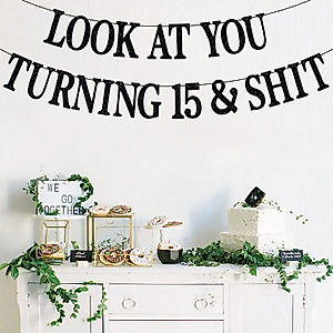 Happy 15th Birthday Banner, Cheers to 15 Years, Level 15, Teen Boys Girls Funny 15th Birthday Party Decorations Backdrop Gifts, Black Glitter