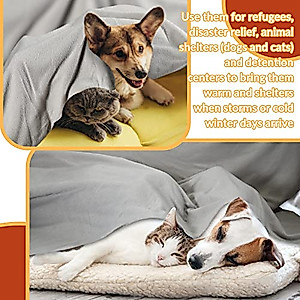 30 Pieces Soft Fleece Throw Blanket Grey Cozy Bulk Blanket 50 x 60 Inches Comfy Fleece Blanket for Home Office Wedding Gifts Outdoor Travel Use