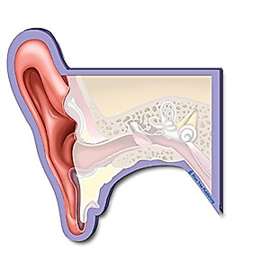 Hearing Gift Box Collection 2, 12 Pack for Audiologist, Students or Hearing Professional