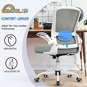 Mimoglad Home Office Chair, High Back Desk Chair, Ergonomic Mesh Computer Chair with Adjustable Lumbar Support and Thickened Seat Cushion (Modern, Moon Gray)