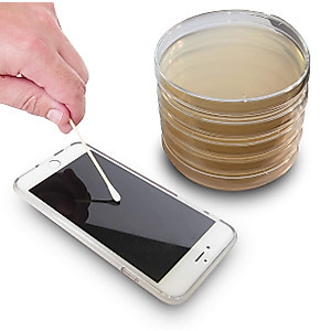 LB Agar Plates - Evviva Sciences - Prepoured Luria-Bertani Agar (LB) Petri Dishes - General Purpose Media - Top Science Kit for Science Fair Projects!