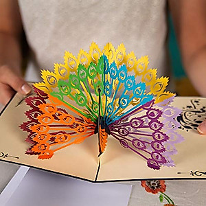 Peacock Pop Up Birthday Card by DEVINE Popup Cards | Happy Wedding Anniversary Card for Husband Wife Boyfriend Girlfriend | Romantic Valentines 3D Cards for Her Him Mothers Day Gifts Mom Love Bird
