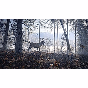 theHunter: Call of the Wild - 2019 Edition - PS4 (PS4)