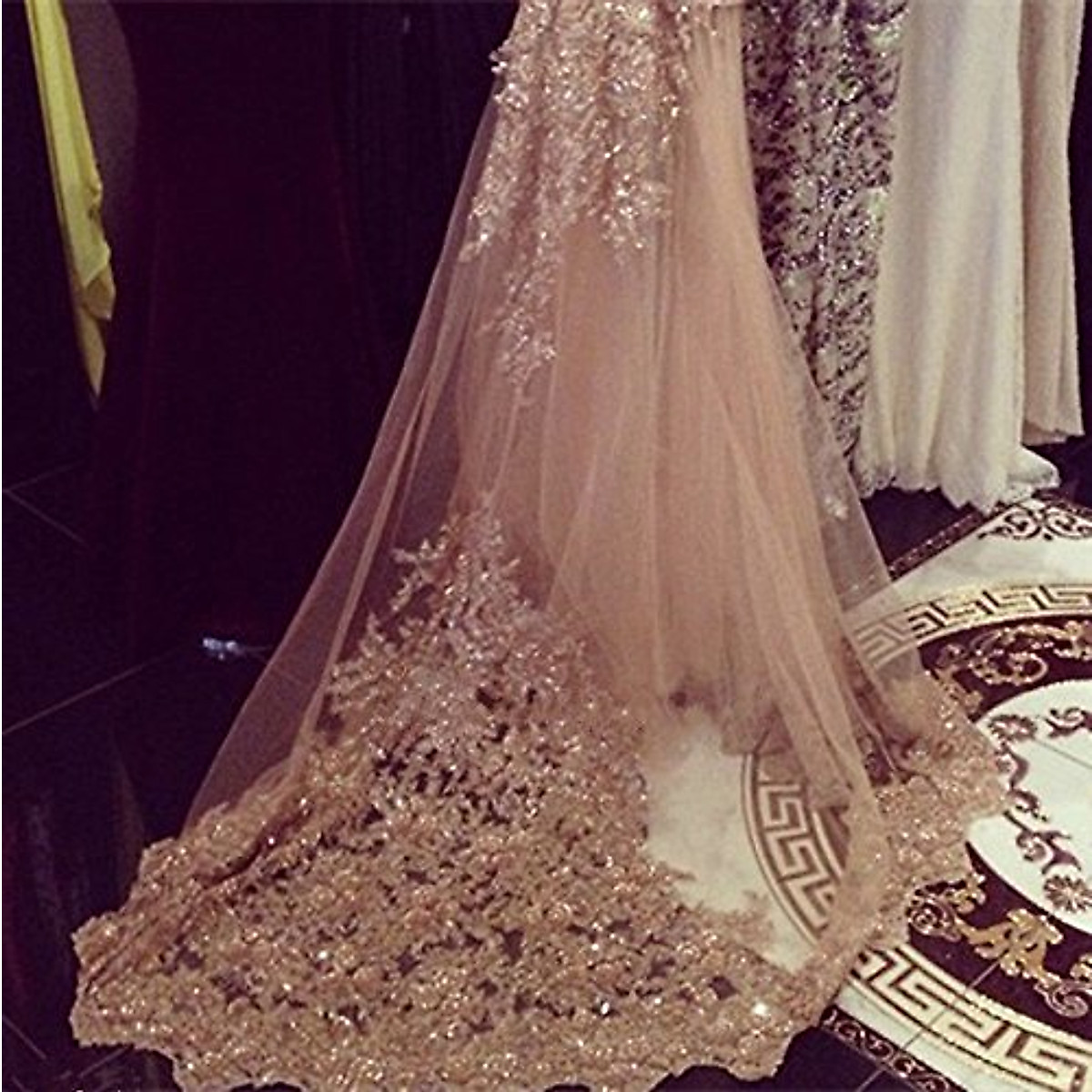 EllieHouse Cathedral Length Sequin Lace Wedding Bridal Veil for Bride Champagne