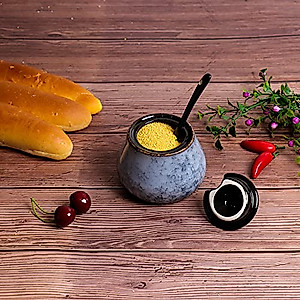 Antique Ceramic Sugar Bowl Salt Bowl with Lid and Spoon 8oz Seasoning (Grey Blue) Seasoning Can