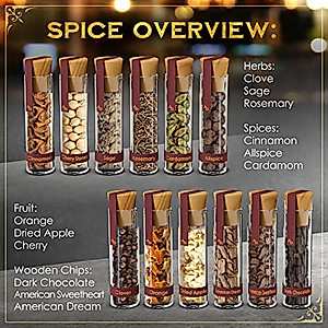 Whiskey Gifts for Men, Whiskey Making Kit - Whiskey Infusion Kit with Stainless Steel Ice Cubes, Wood Chips, Gifts for Him - Alcohol Infusion Kit - Husband Birthday Cocktail - Whiskey Gift Set for Men