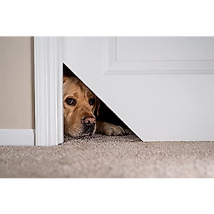 Kitty Korner Cat Door (Righthand Kit) Don't be Fooled by Foreign Knock-Offs That Will not Lock Open or Closed, Choose The Original Patented Kitty Korner.