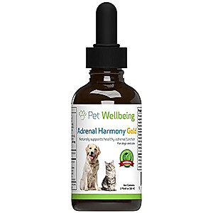 Pet Wellbeing Adrenal Harmony Gold - Vet-Formulated - for Dog Cushing's, Adrenal Health, Cortisol Balance - Natural Herbal Supplement 2 oz (59 ml)