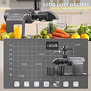 Juicer Machines, Fezen Slow Masticating Juicer Extractor, Cold Press Juicer with Two Speed Modes, Quiet Motor/Reverse Function, Higher Juice Yield Slow Juicer for Vegetables & Fruits, Easy to Clean