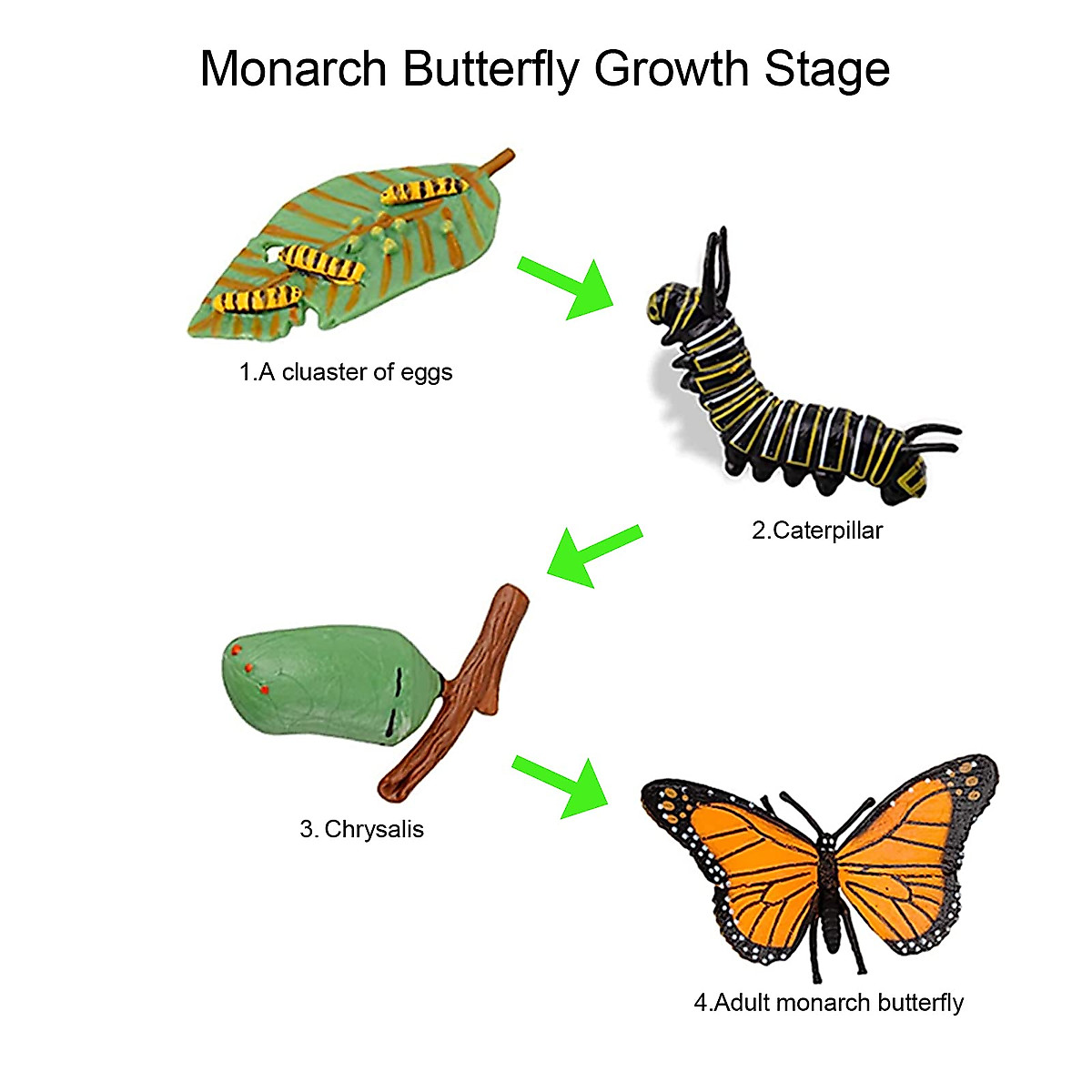Odowalker 24PCS Life Cycle Figures,Insect Figurines Life Cycle of Monarch Butterfly,Honey Bee,Ladybug,Praying Mantis,Dragonfly,Grasshopper Safariology Bug Figures Kits Educational School Project