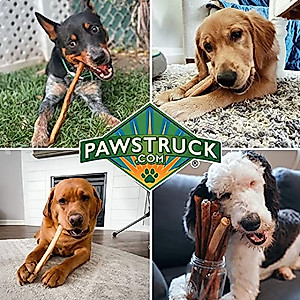 Pawstruck Beef Collagen Sticks for Dogs, Small Long Lasting Chews for All Breeds, 5-Count Bully Sticks and Rawhide Alternative Treats w/Chondroitin & Glucosamine, Low Fat & High Protein Dental Treats