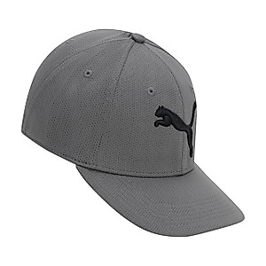 PUMA unisex adult Evercat Mesh Stretch Fit Baseball Cap, Medium Grey, Small-Medium US